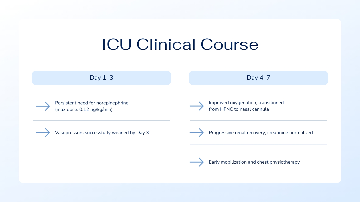 Pneumonia ICU Patient Presentation Template | Visme