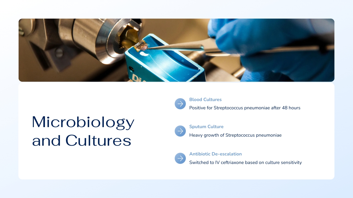 Pneumonia ICU Patient Presentation Template | Visme