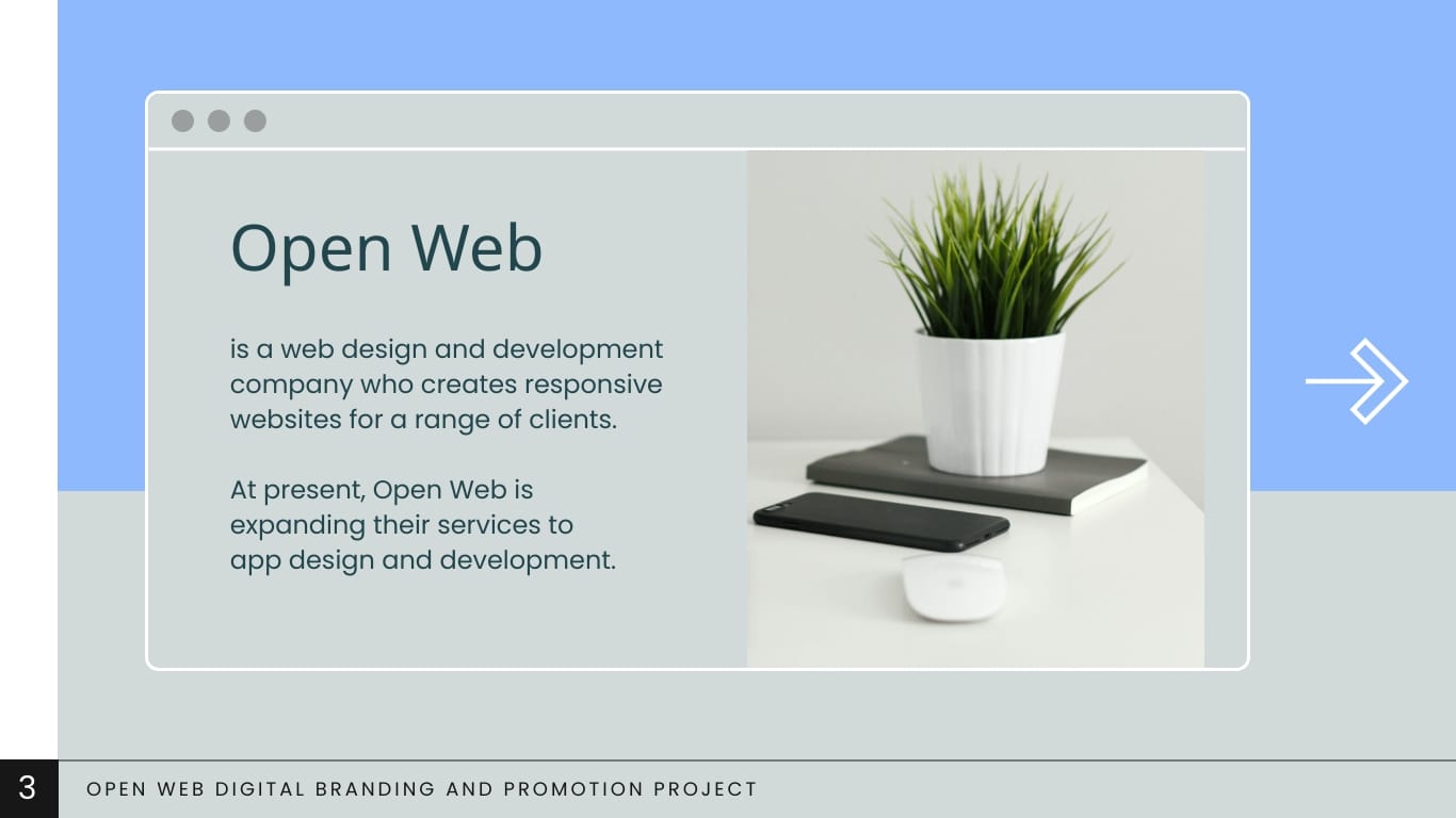 What is a Management Presentation: Templates, Tips & Topics