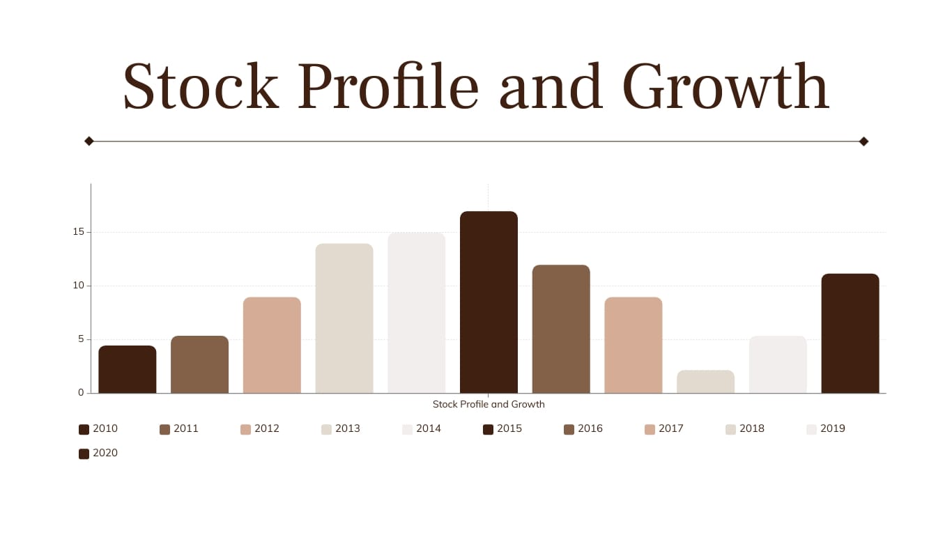 Retail Stock Pitch Presentation Template | Visme