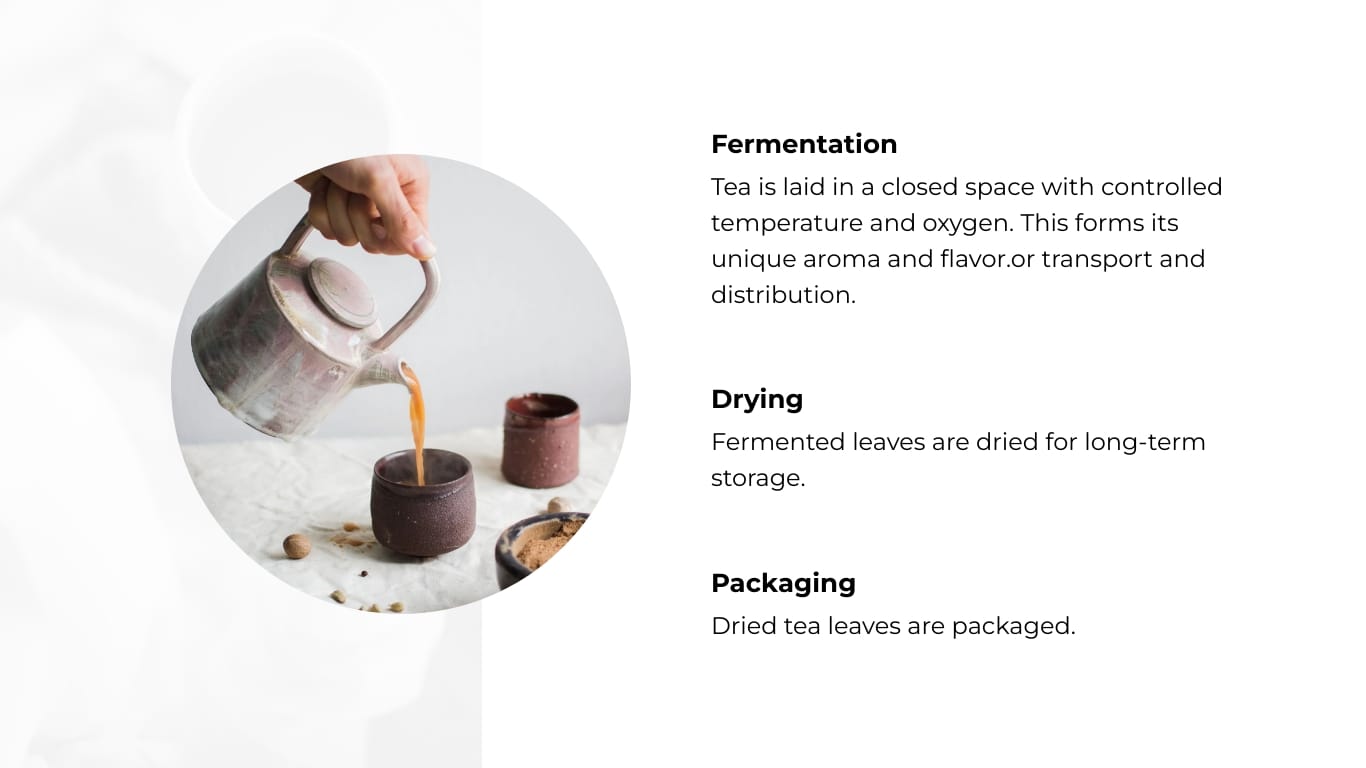 Sleek Tea Presentation Template | Visme