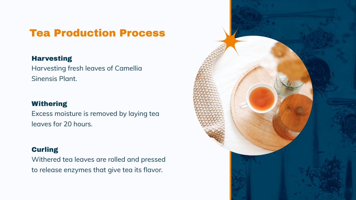 Tea Presentation Template | Visme