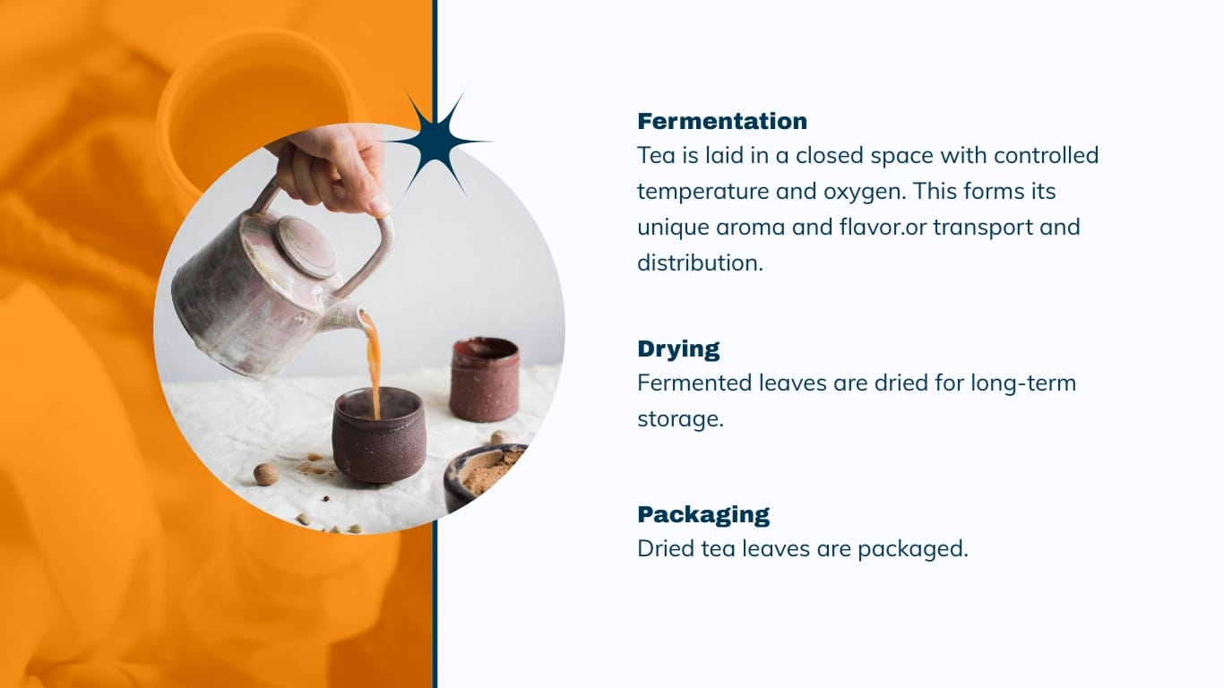 Tea Presentation Template | Visme